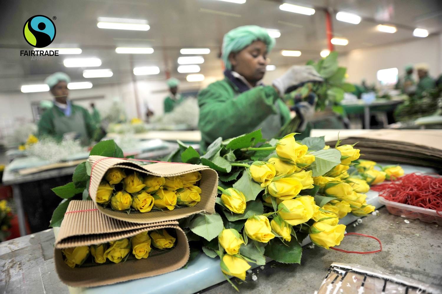 Flowers – Fairtrade Africa