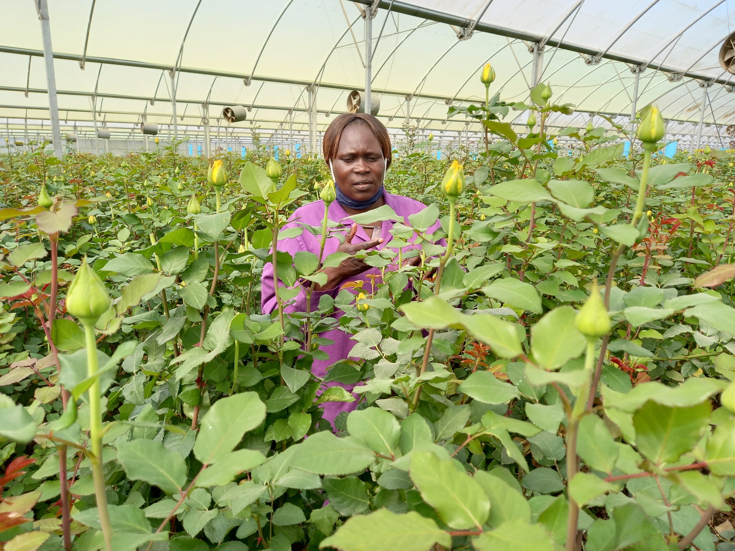 A NINE-YEAR JOURNEY – Fairtrade Africa