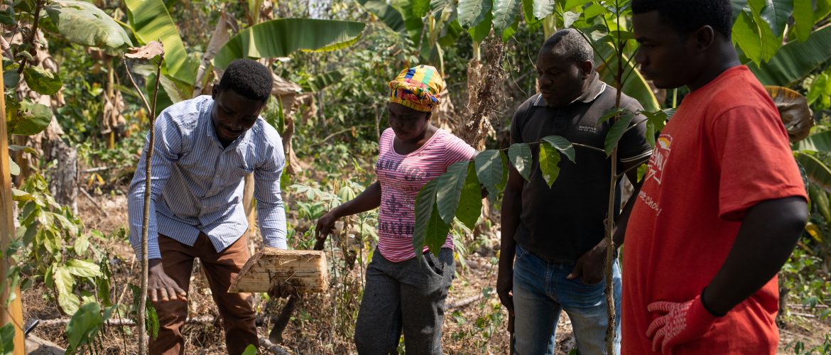 IMPROVING INCOMES AND BUILDING CLIMATE RESILIENCE THROUGH DYNAMIC ...